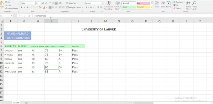 Clean, format,merge,spilt excel data by Maafi520 | Fiverr