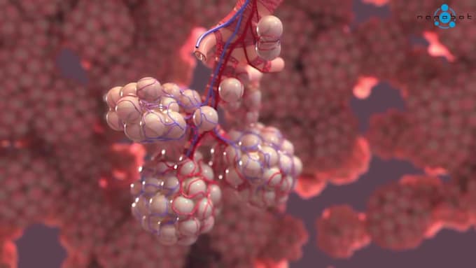 Create 3d medical animation video, 3d medical modeling by Myanima | Fiverr