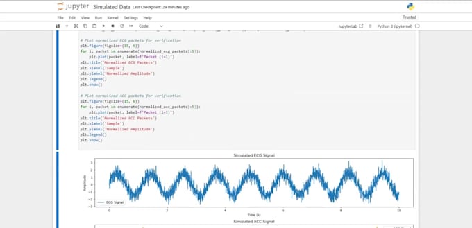 Perform custom data analysis, visualization, and insightful reporting by Maureen_na | Fiverr