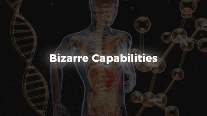 Be your youtube automation video editor by Aamir__iqbal | Fiverr