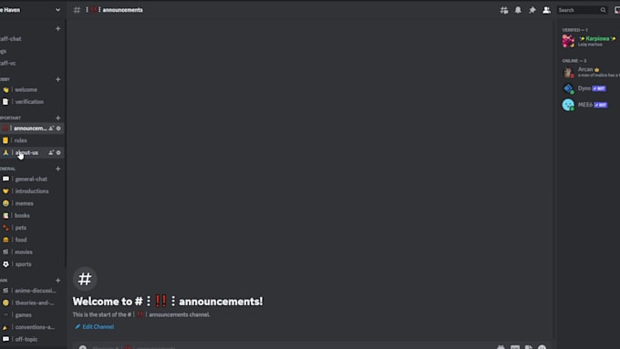Do professional discord server setup for your community by Arcaniusz ...