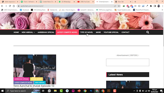 Create a professional news channel , blog website on wordpress by ...