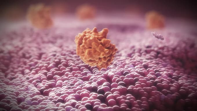 Create 3d medical animation, 3d phamaceutical animation video for drug ...