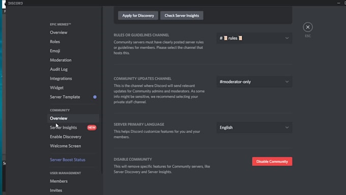 Make you a professional discord server by Jaxizam | Fiverr