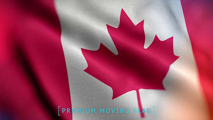 Make moving flag animation with sign your logo, image, text by ...