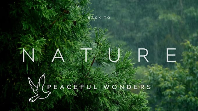 Design an amazing youtube banner and logo by Naushijdn | Fiverr