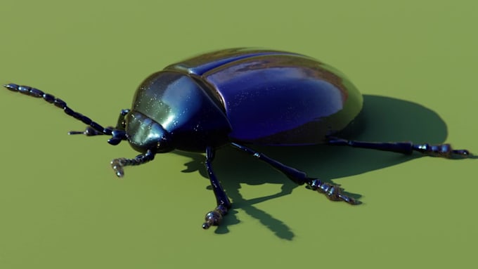 Make an animated 3d model in blender of any insect or animal character ...