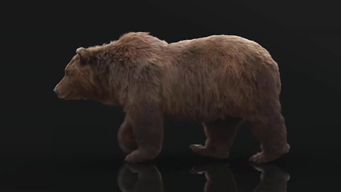 Integrate 3d animal model, 3d animal animation, 3d animal rigging, 3d ...