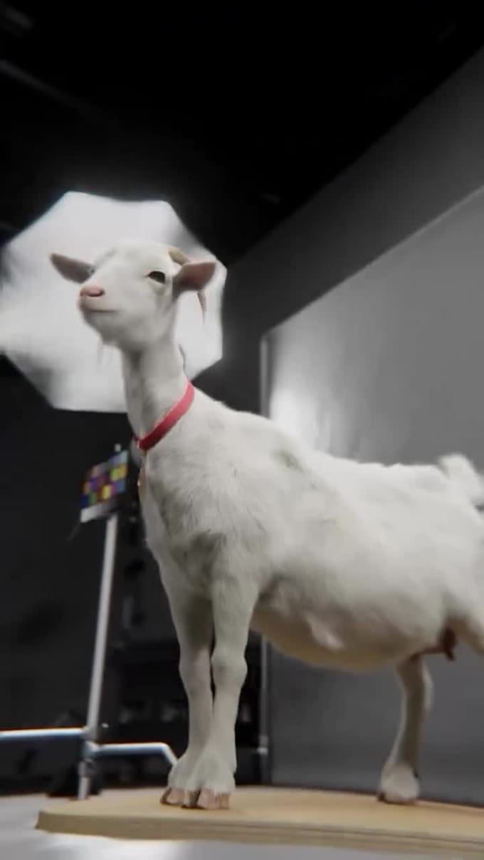 Integrate realistic 3d animal models, 3d animal rigging, cgi animal ...