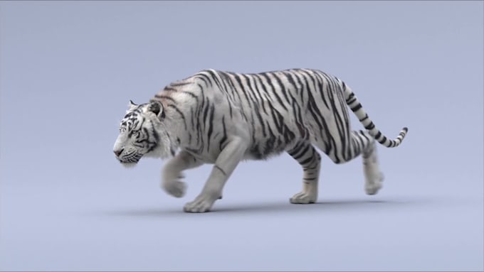 Cgi 3d animal modelling rigging and animation in blender, unreal engine, houdini by Projohnllc ...