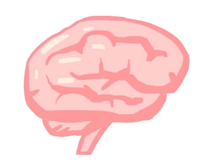 Make a short hand drawn animation by Maggiegreenart | Fiverr