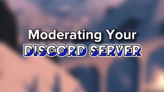 Moderate your discord server by Zxestyyt | Fiverr