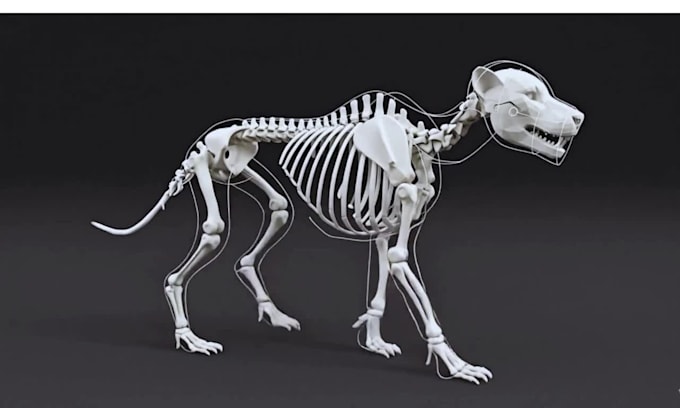 3d animal model and fully rigged animal character cgi animal animation ...