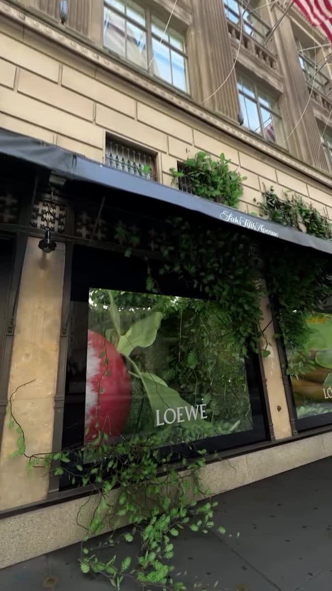 Do 3d flower animation plant vfx animation 3d plant animation vfx ...