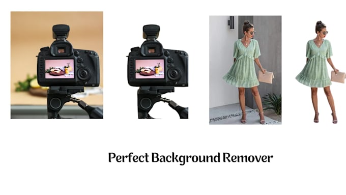 Remove background for image in just 3 hours by Viru112 | Fiverr