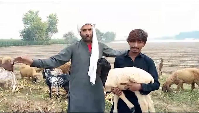 Record funny happy birthday video by Awais_khan76 | Fiverr