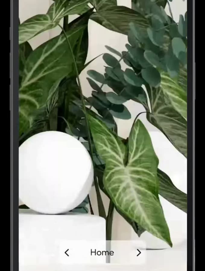 Create a fantastic background for your product by Avzcreations | Fiverr