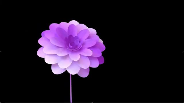 Do 3d cgi flower animation 3d flower animations 3d flower model 3d ...