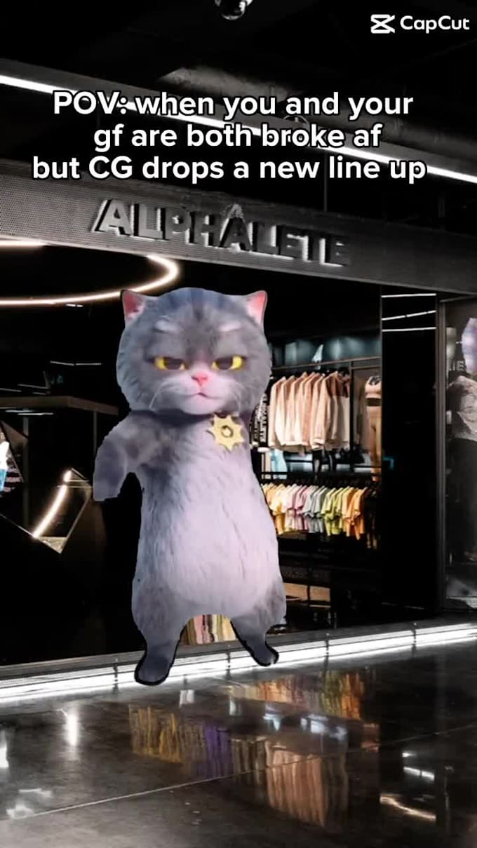 Create the best memes for your platform by Morememes333 | Fiverr