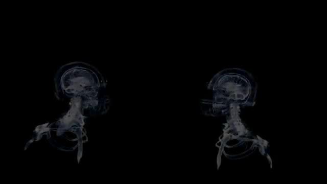 Create 3d biomedical animation, 3d medical animation, and 3d anatomy ...