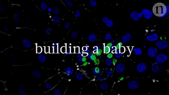 Make realistic 3d medical animation, 3d surgery animation, and 3d ...