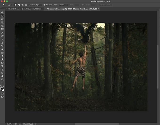 Create your dream photo composite by Kpow_edits | Fiverr
