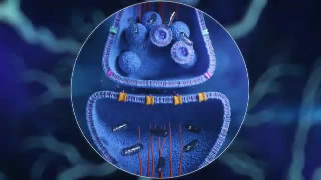 Create 3d medical animation biomedical surgery animation 3d scientific ...