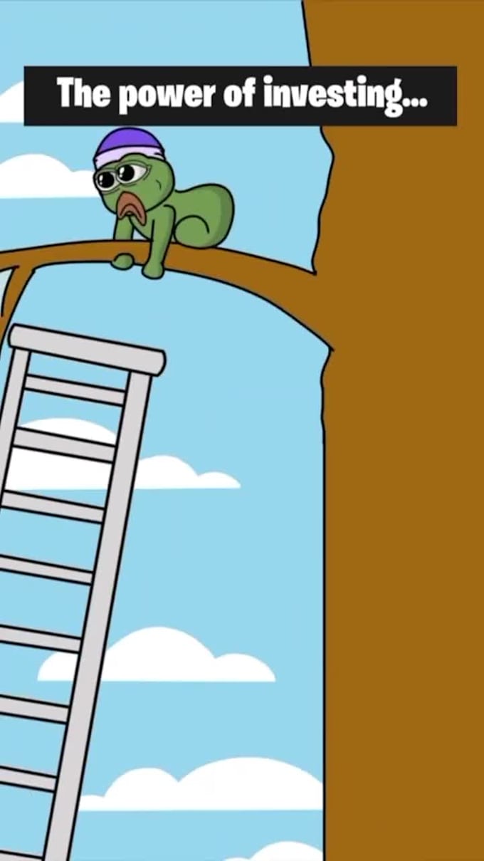 Do 2d memecoin animation, crypto meme video, pepe frog meme art ...