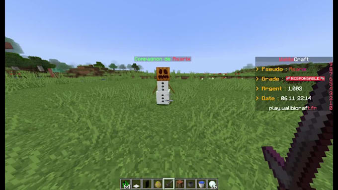 Make a minecraft plugin for spigot server by Asarix | Fiverr