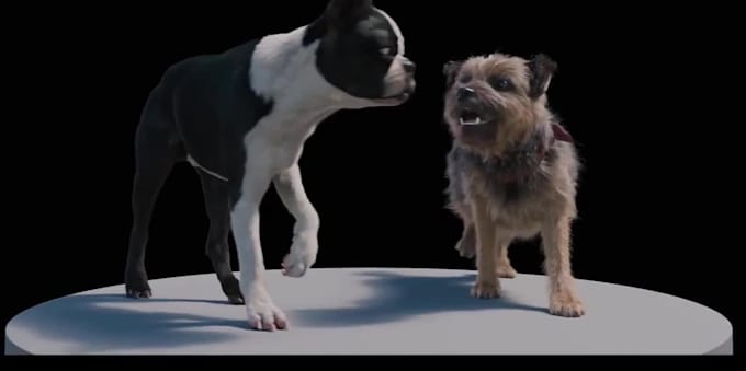 Cgi animation animation,3d animal model fully rigging animal character ...
