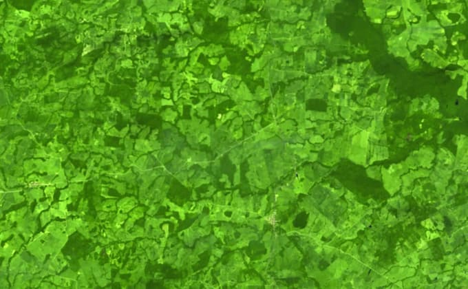 Process and analyze satellite imagery for your specific needs by ...