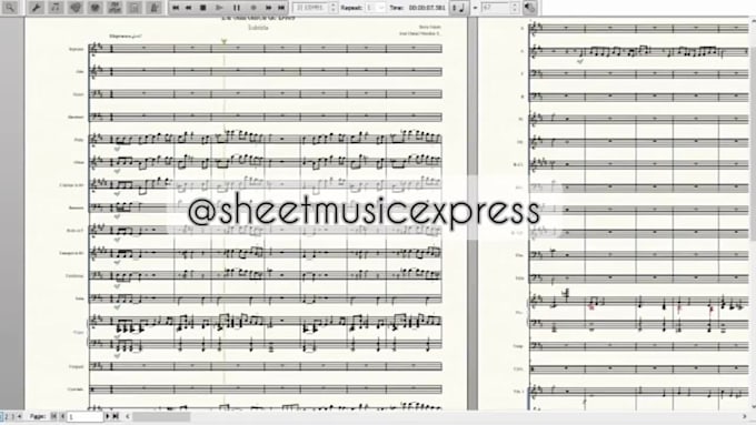 Sheet music for any musical instrument arrangements, transcription or ...