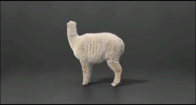 Create 3d animal model animal animation 3d printing vfx cgi dog cat cow ...