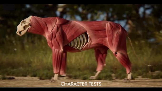 Create realistic 3d animal animation, 3d texture with groom and fur by ...