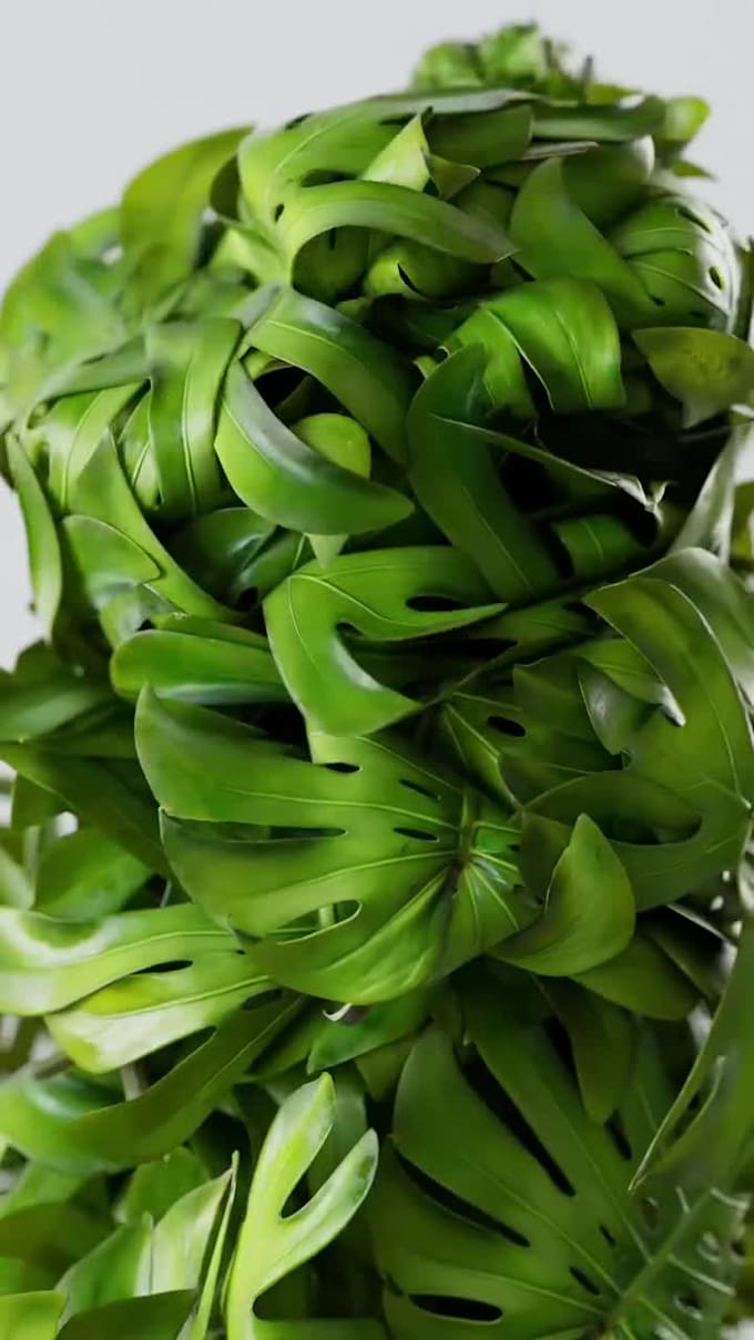 Do realistic 3d plant vfx 3d plant animation vfx flower cgi plant ...