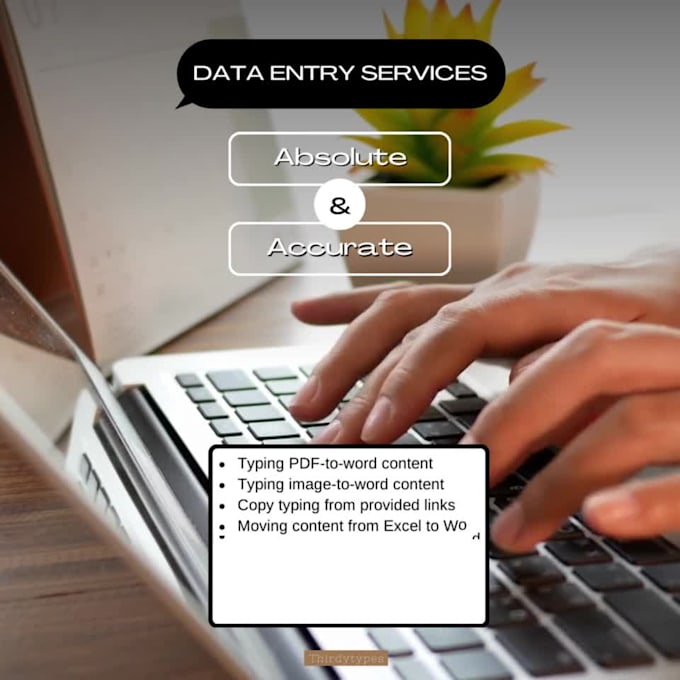 Do absolute and accurate typing and data entry tasks by Thirdyismyname ...