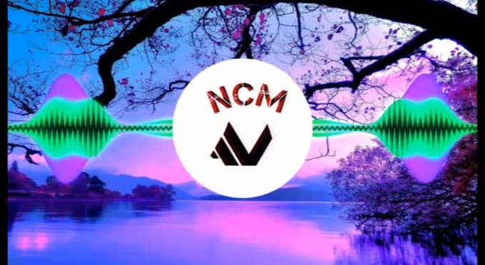 Create amazing audio visualizer and spectrum for your music by World_edits | Fiverr