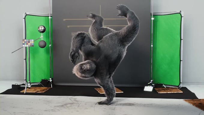 Do realistic cgi animal modeling, 3d rigging, xgen fur, cgi animal ...