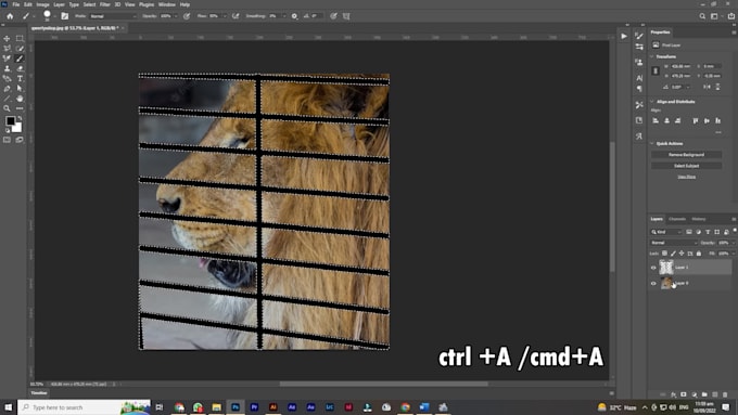 Image resizing, cropping, editing and background removing by Awanarts | Fiverr