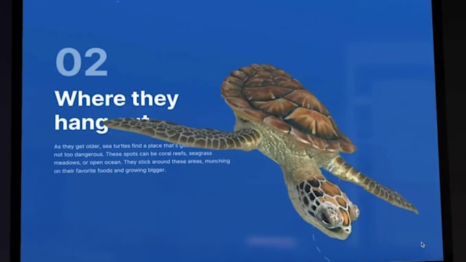 Create interactive 3d animated website, webflow website, 3d shopify ...