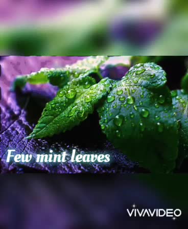 Be your dietitian and nutritionist by Diet_spotlight | Fiverr