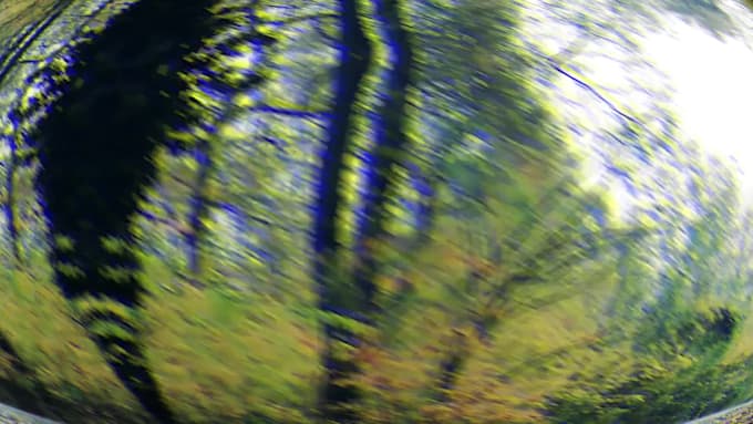 Create trippy animated, psychedelic visuals with music by Mfahad71 | Fiverr