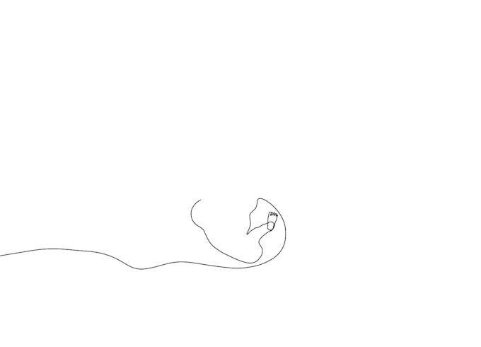 Draw colorful continuous line art animation explainer videos by Art ...