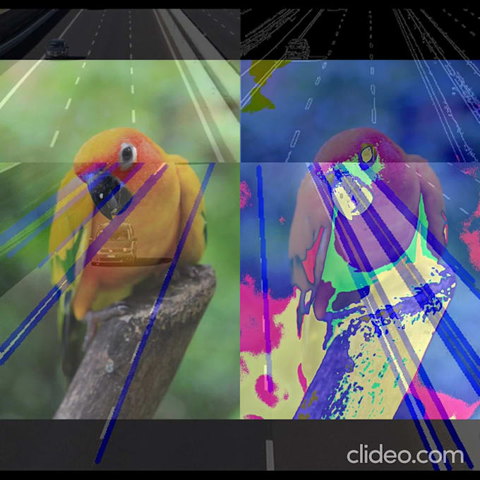 Work On Image Processing Algorithms And Computer Vision Algorithms By 5230