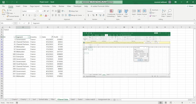 Data analysis, excel formulas, sql database query by Moomalsadhwa524 ...