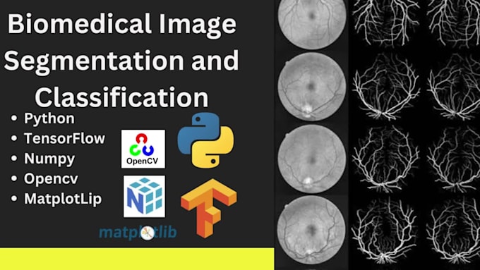 Do biomedical image analysis using ai by Furqan322003 | Fiverr