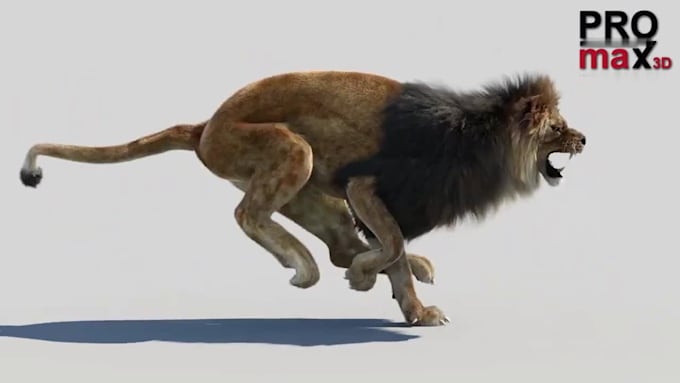 Do cgi animal model, 3d animal animation, 3d animal rigging, xgen fur ...