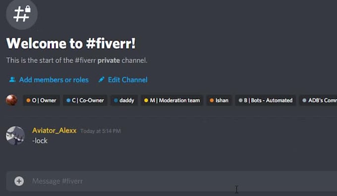 Make you a discord bot for your server by Jaanav | Fiverr