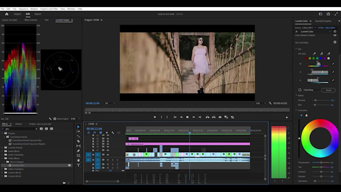 Do professional pre wedding and event video editing by Silver_cycle ...