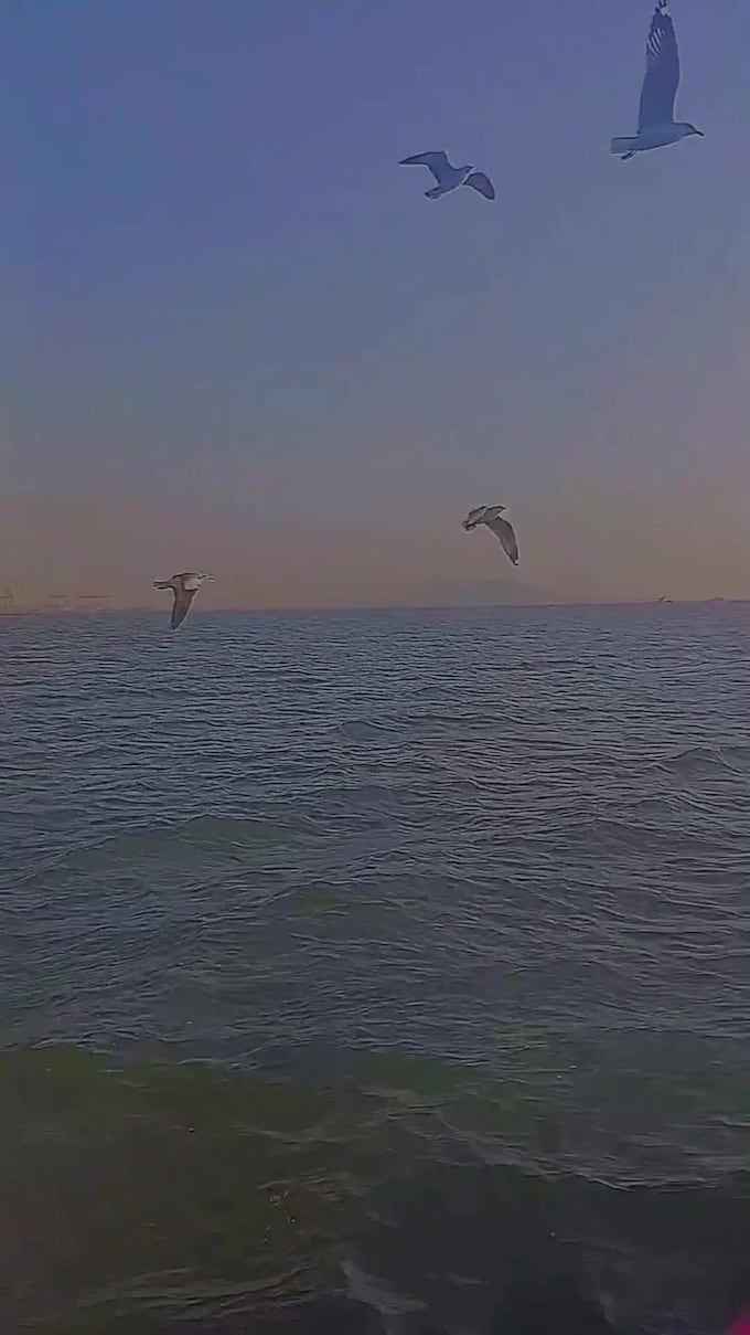 Edit music videos and youtube by Inversetrigofac | Fiverr